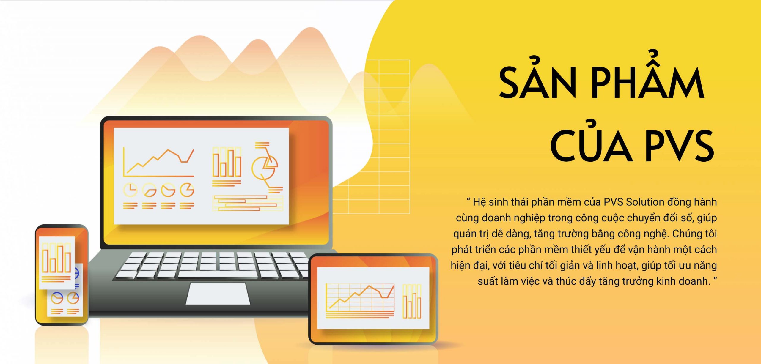 Sản phẩm - PVS Solution