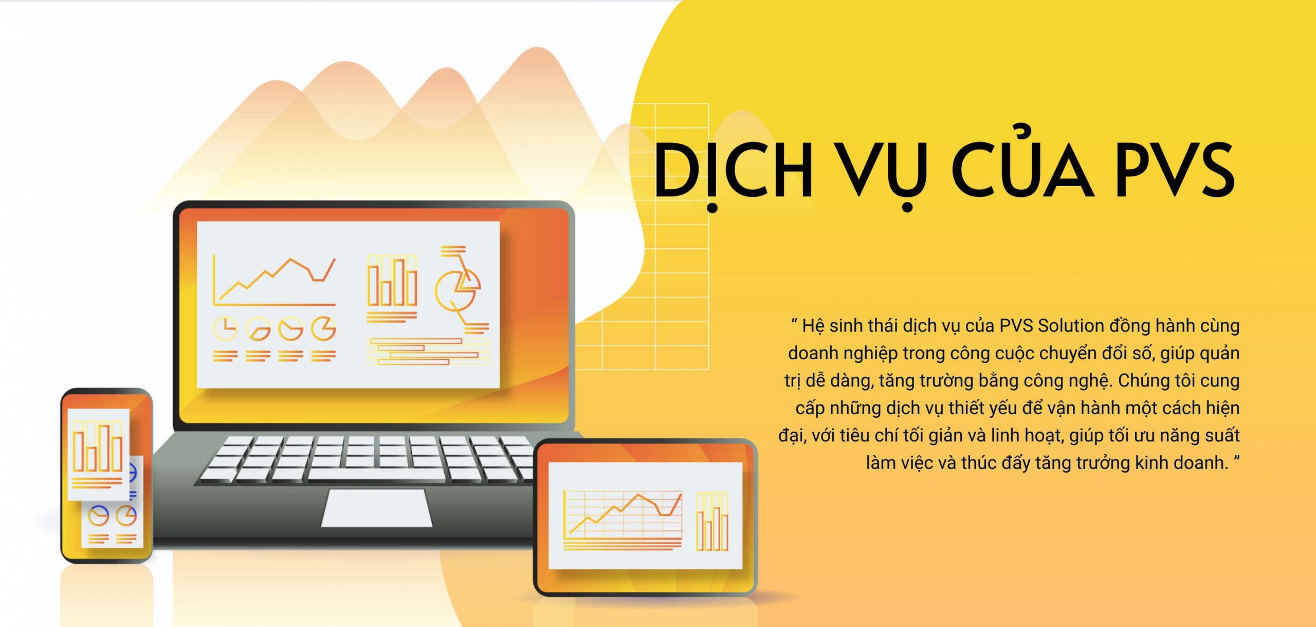System intergration - PVS Solution